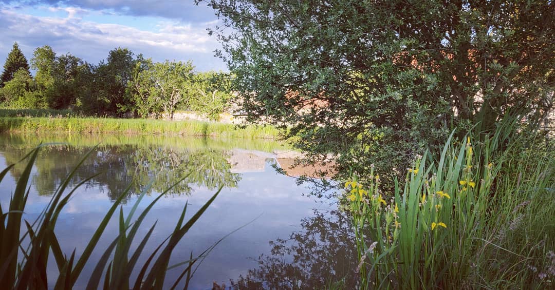Parc naturel régional de Millevaches | Tourisme Creuse Limousin