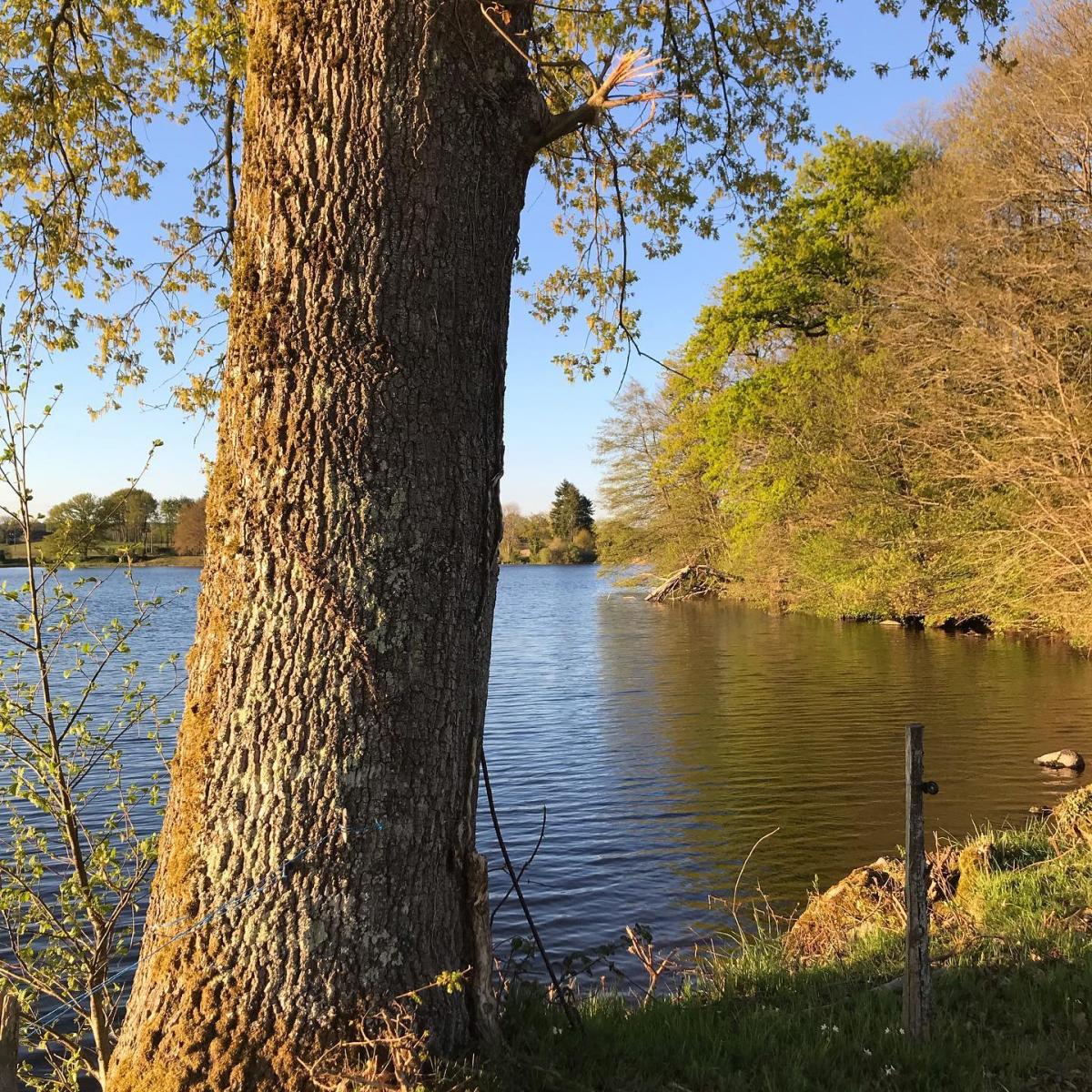 Parc naturel régional de Millevaches | Tourisme Creuse Limousin