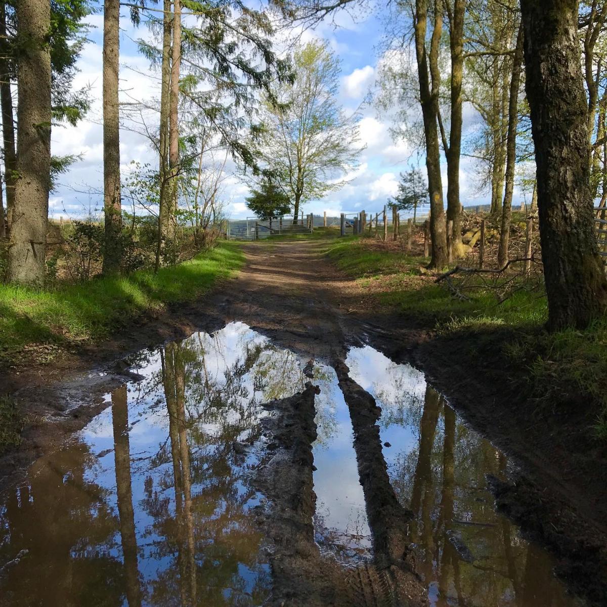 Parc naturel régional de Millevaches | Tourisme Creuse Limousin