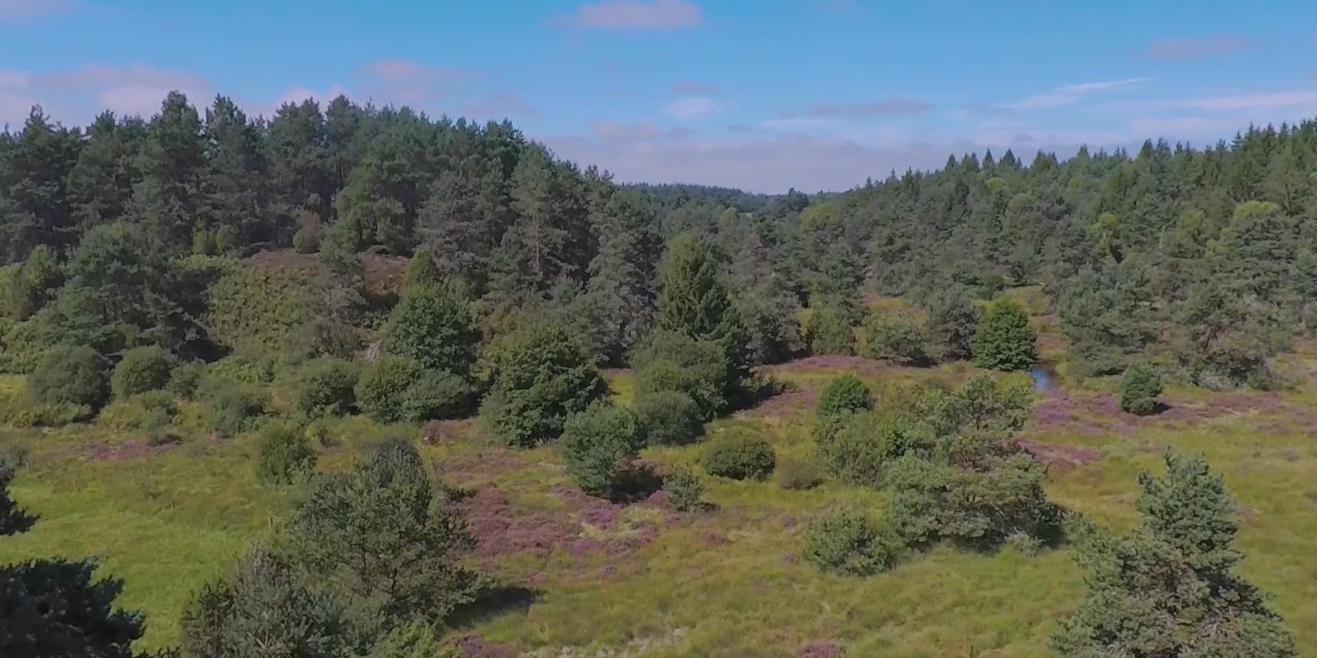 Parc naturel régional de Millevaches | Tourisme Creuse Limousin
