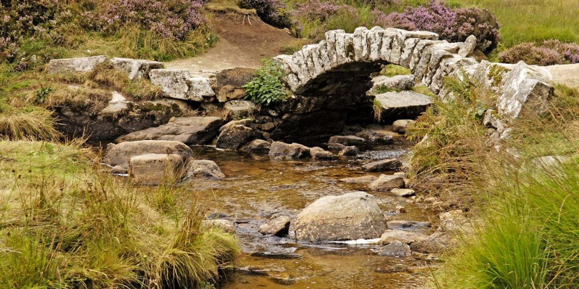 Parc naturel régional de Millevaches | Tourisme Creuse Limousin
