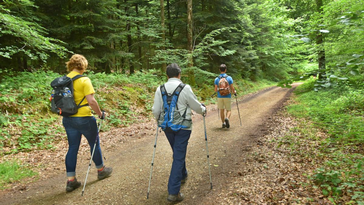 Randonnée pédestre | Tourisme Creuse Limousin