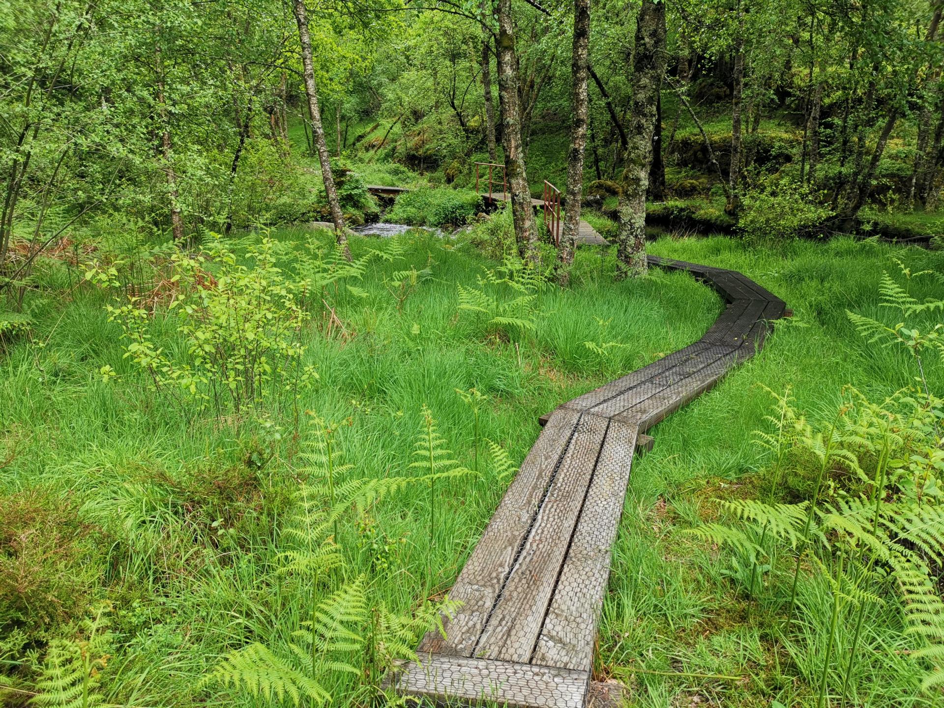 Circuit landes et tourbières de la Mazure | Tourisme Creuse Limousin