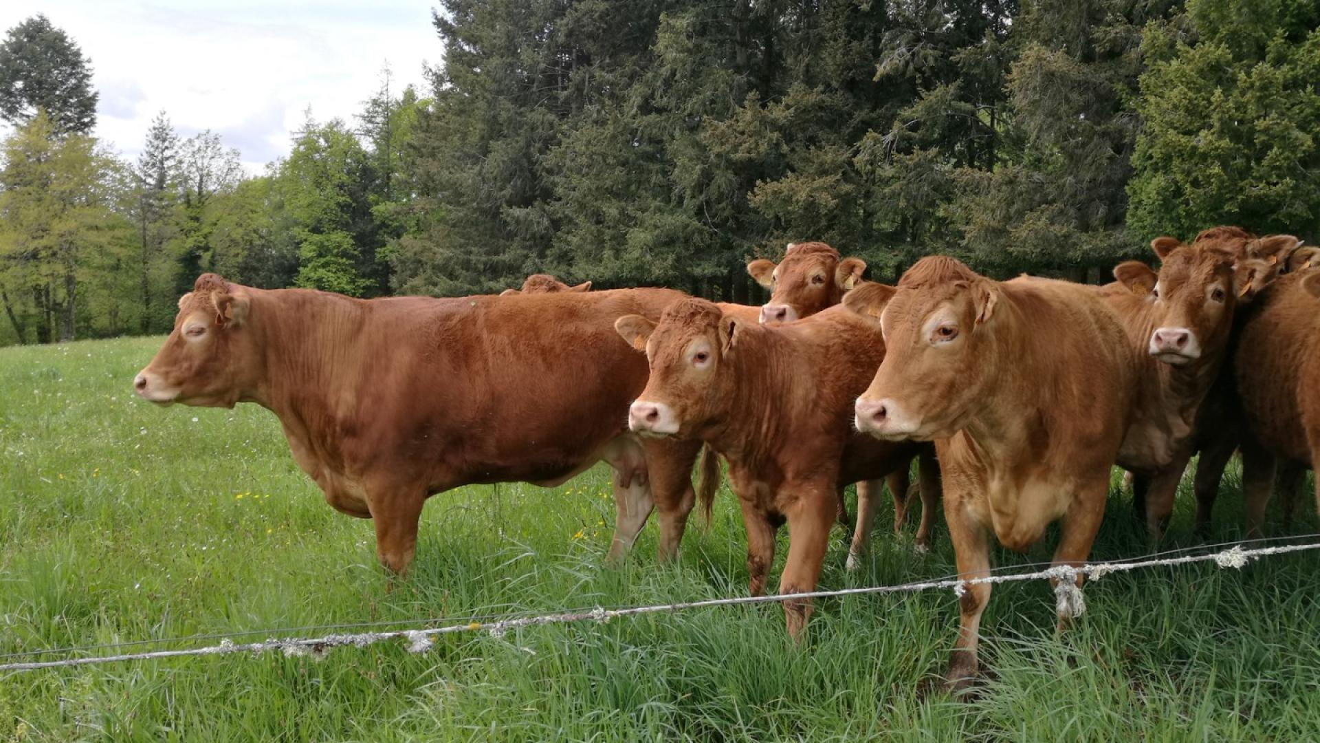 Our local products are made with talent ! | Tourisme Creuse Limousin