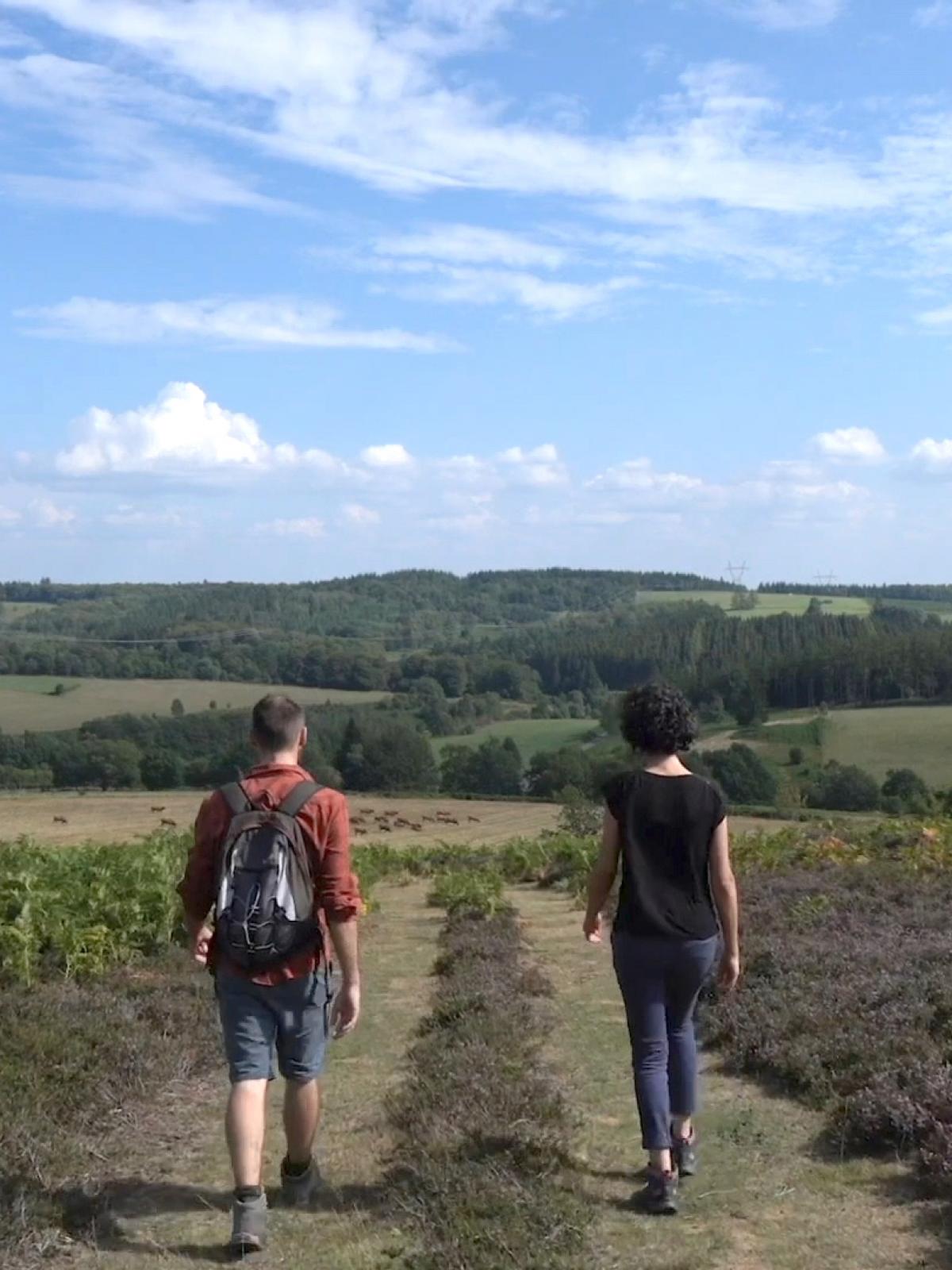 Parc naturel régional de Millevaches | Tourisme Creuse Limousin