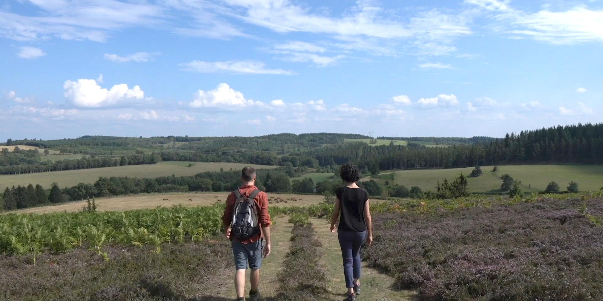 Une journée sur le Plateau de Millevaches | Tourisme Creuse Limousin