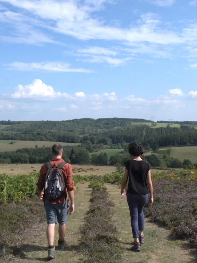 Parc naturel régional de Millevaches | Tourisme Creuse Limousin