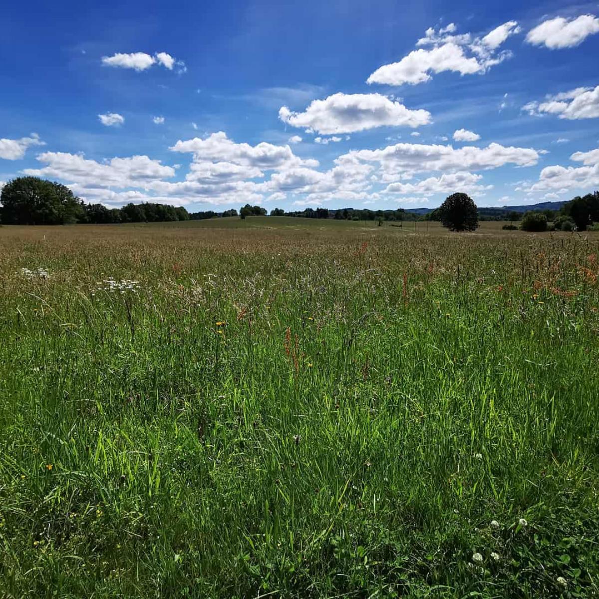 Village de Masgot | Tourisme Creuse Limousin