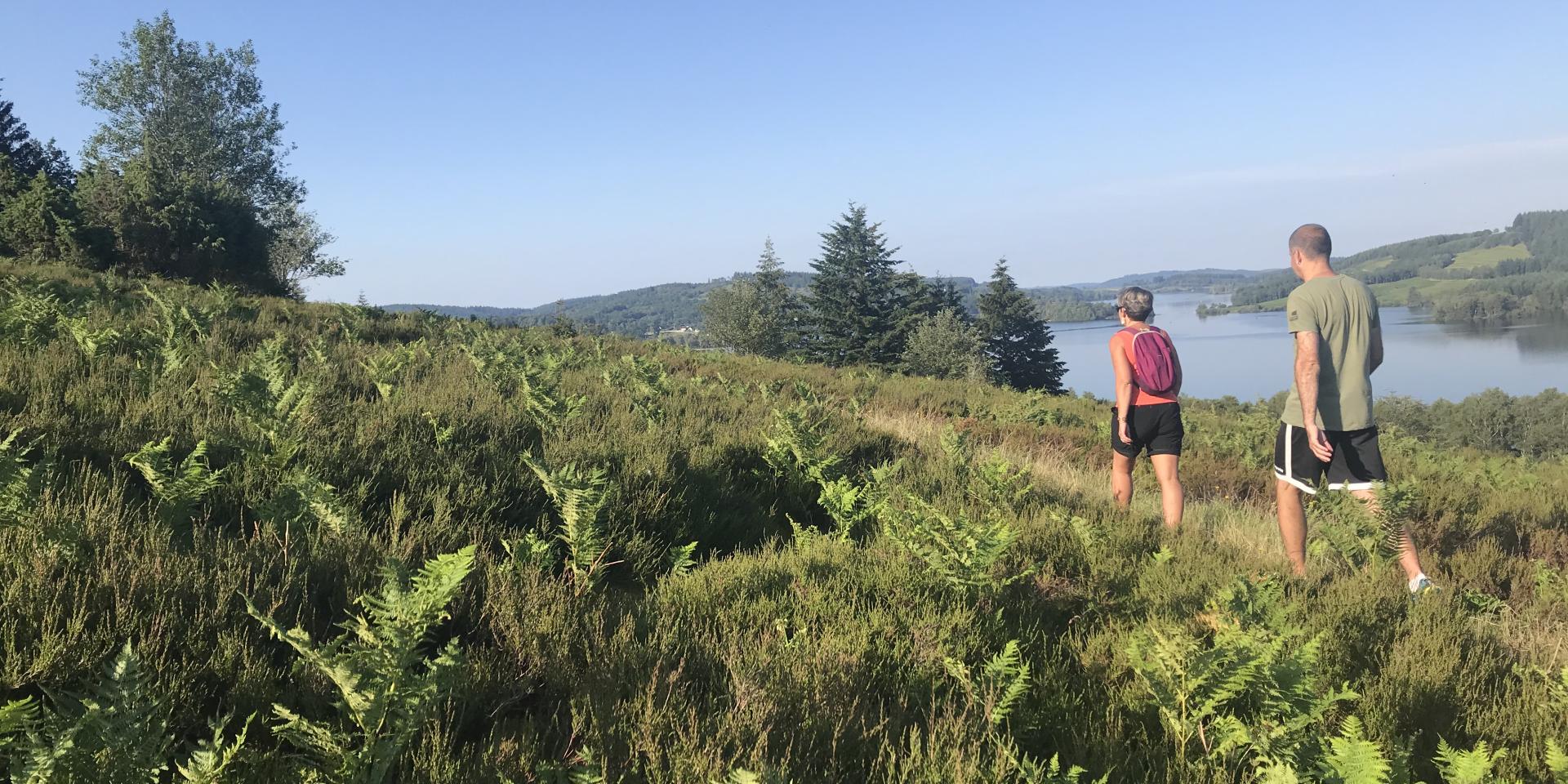 Parc naturel régional de Millevaches | Tourisme Creuse Limousin