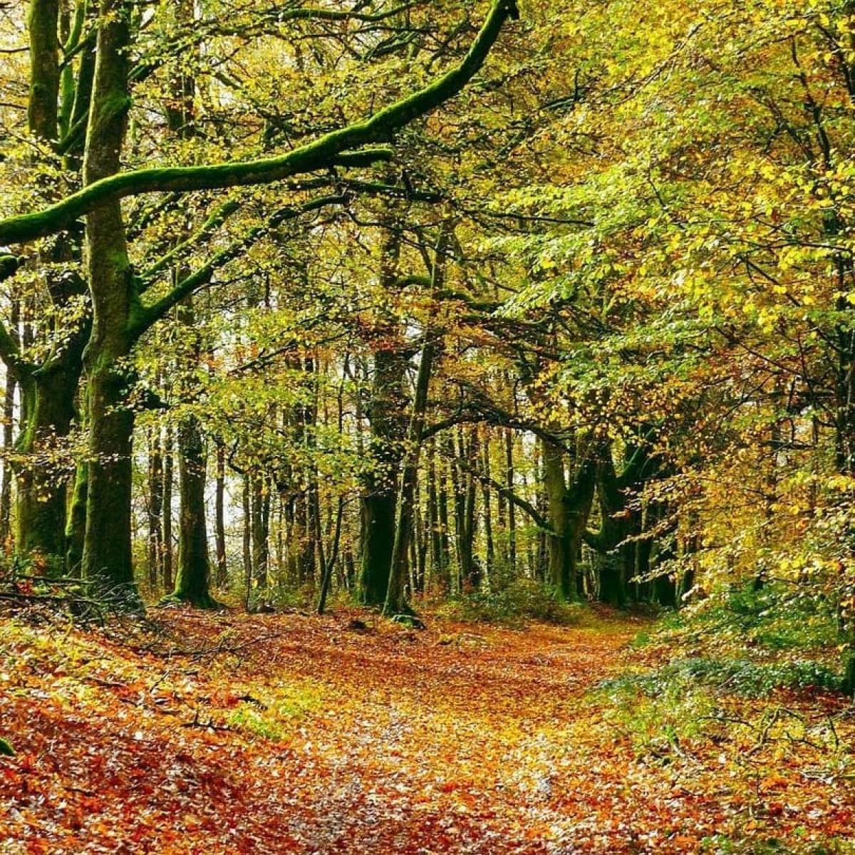 Village de Masgot | Tourisme Creuse Limousin