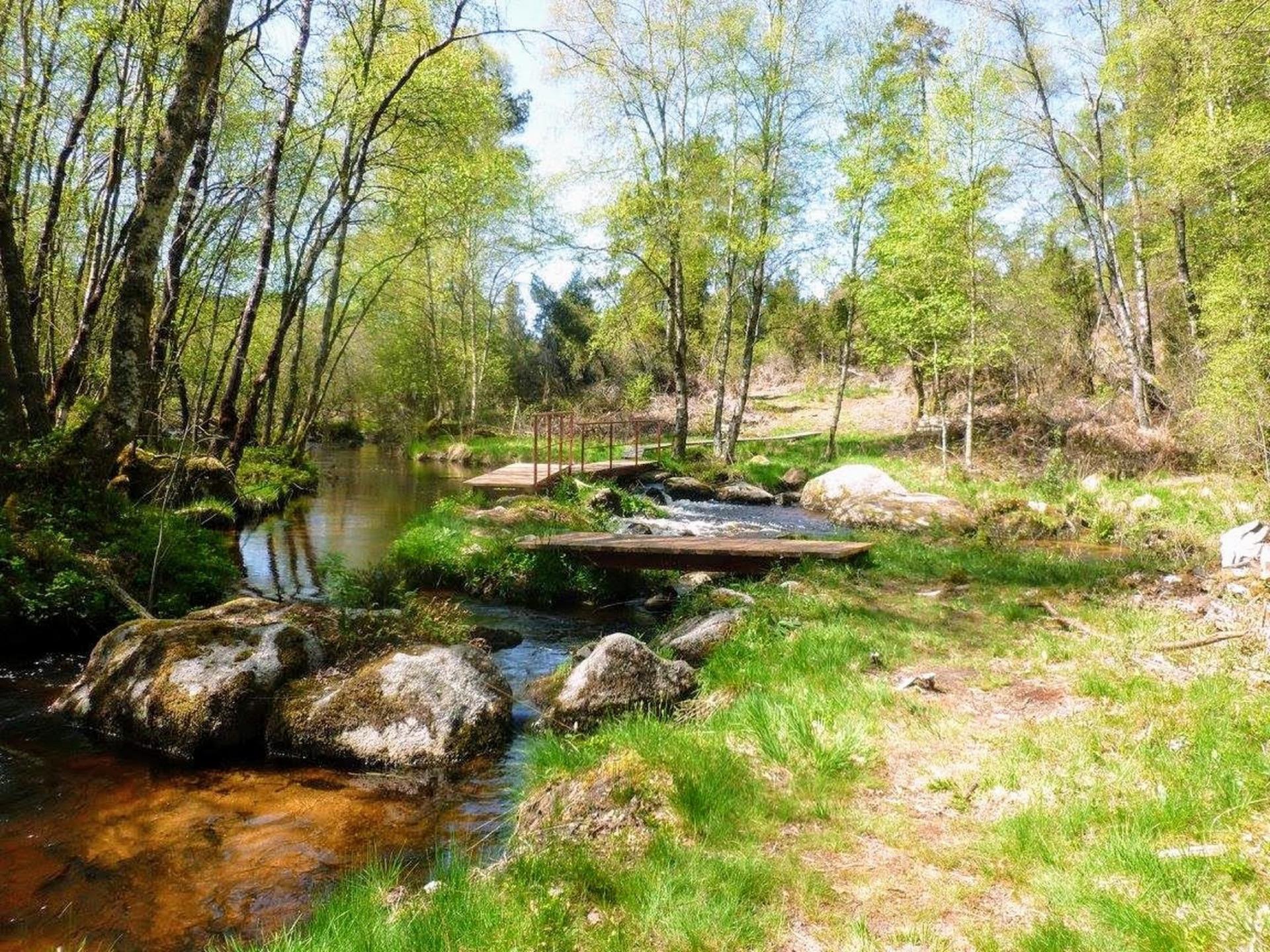 Das Torfmoor von La Mazure | Tourisme Creuse Limousin