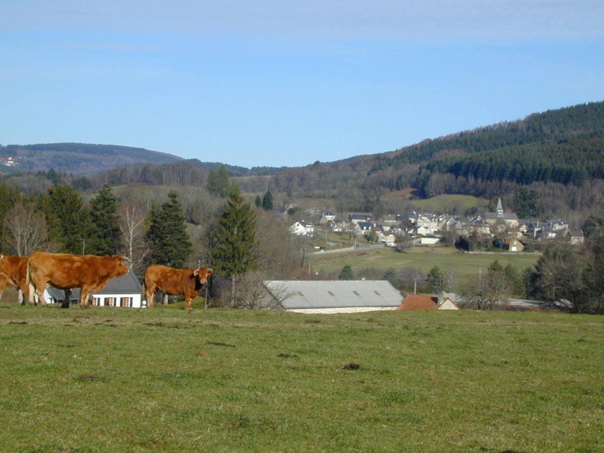 Nedde | Tourisme Creuse Limousin