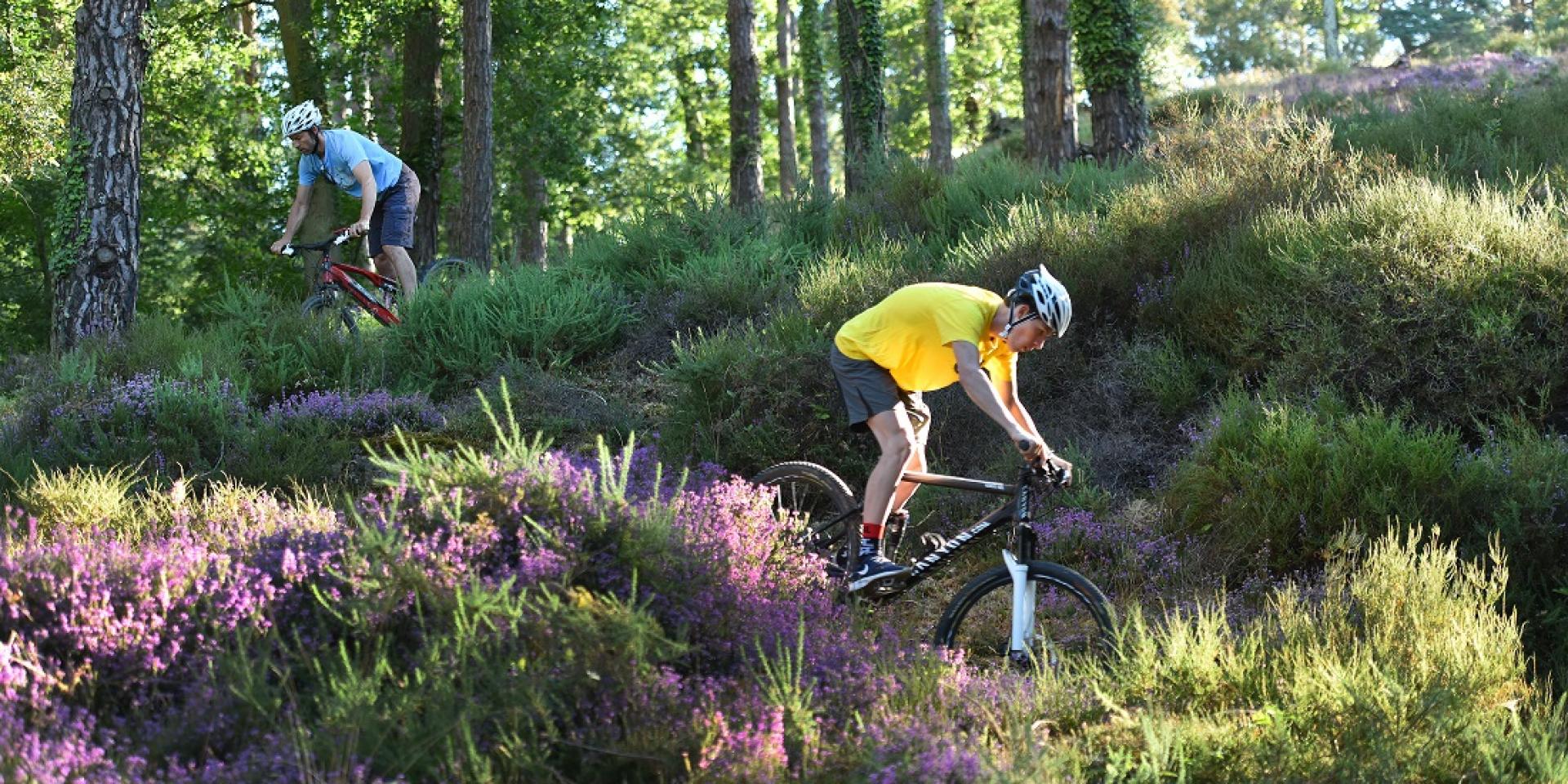 Base VTT FFC Est Creuse Tourisme Creuse Limousin