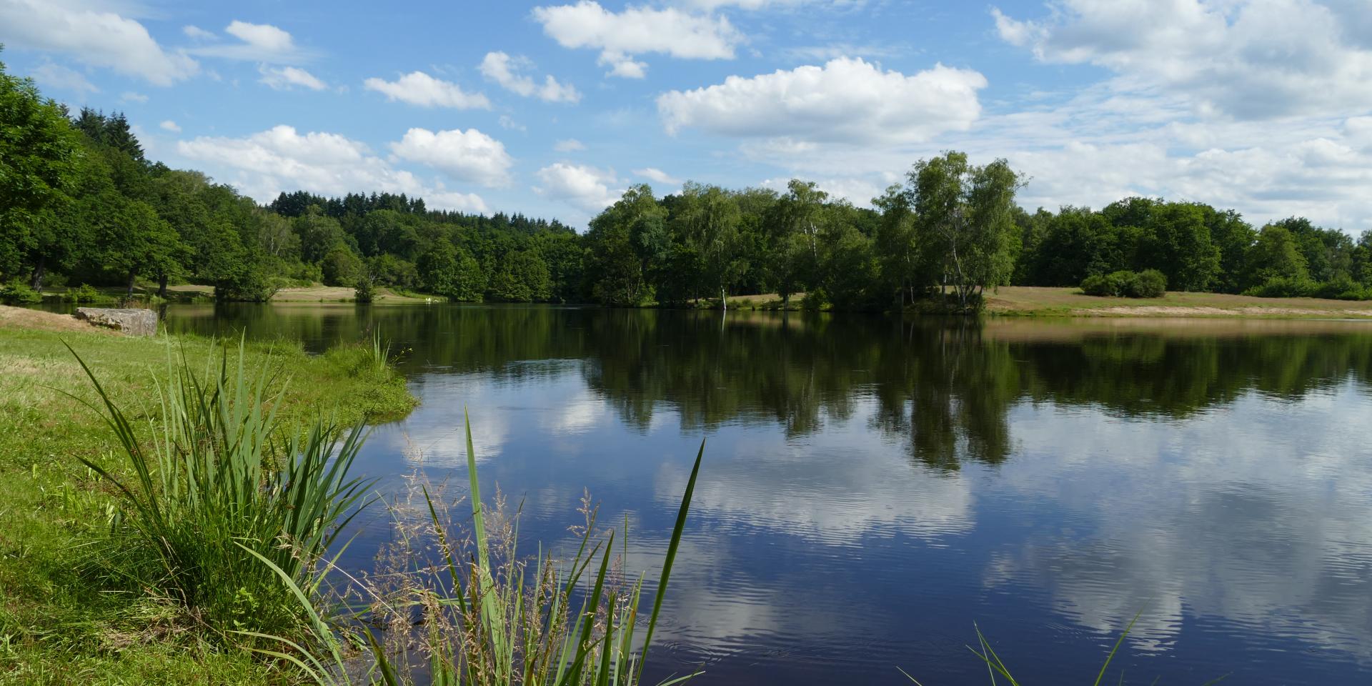 Étang de Ch@ux | Tourisme Creuse Limousin