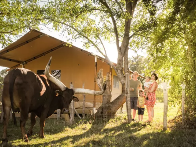 À la découverte des animaux | Tourisme Creuse Limousin