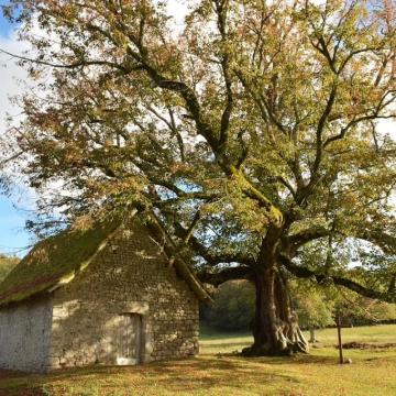 Marsac | Tourisme Creuse Limousin
